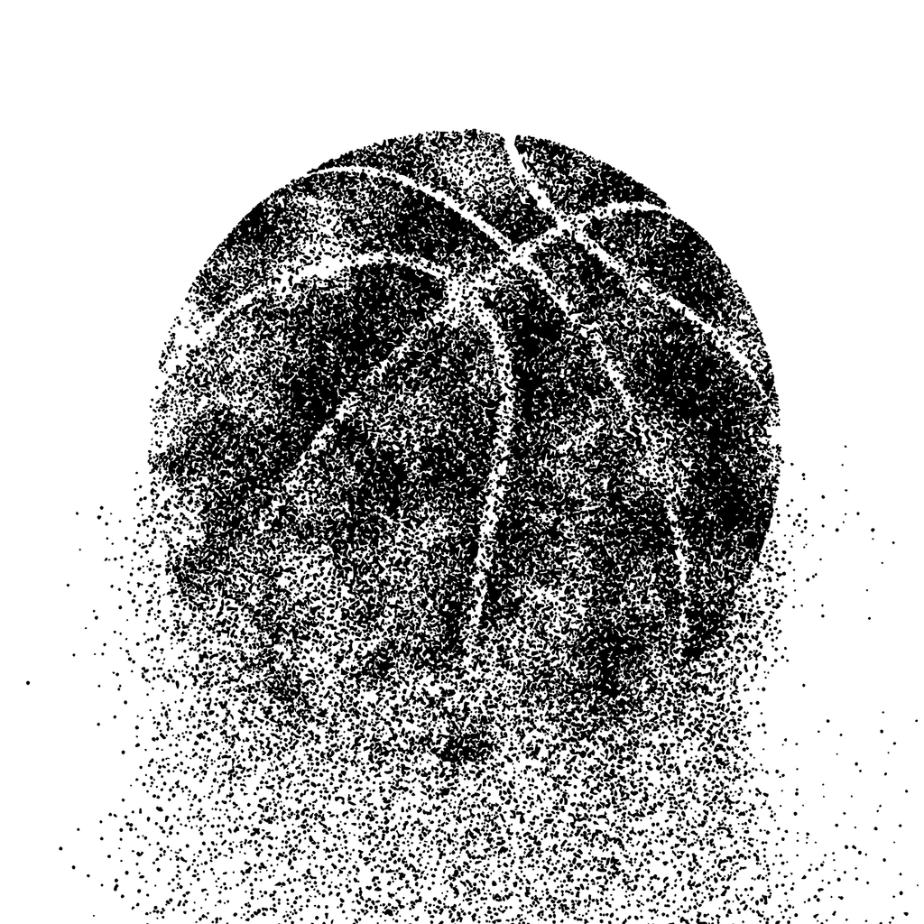 BASKETBALL FADE – LUDABOTTLE